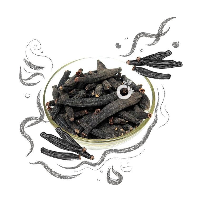 KAPOK BUDS / MARATHI MOGGU / மராத்தி மொக்கு - Organic Positive