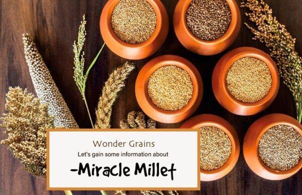 Positive Millets| Positive Grains | Positive Millets List